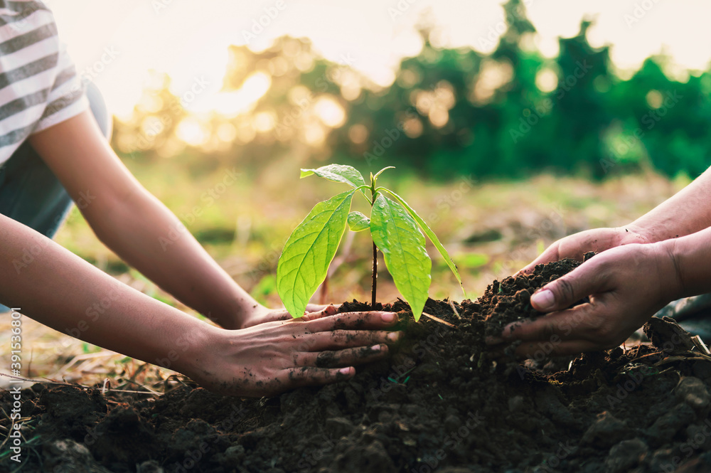 mother with children helping planting tree in nature for save earth ...