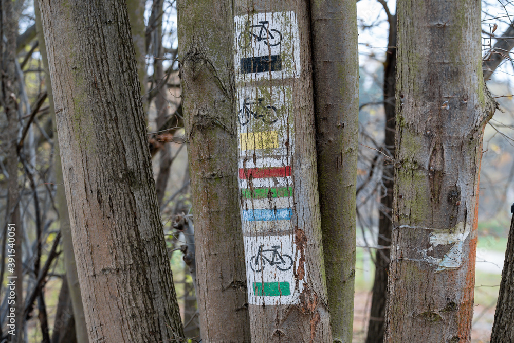 markings of bicycle routes painted on trees, markings of tourist routes ...