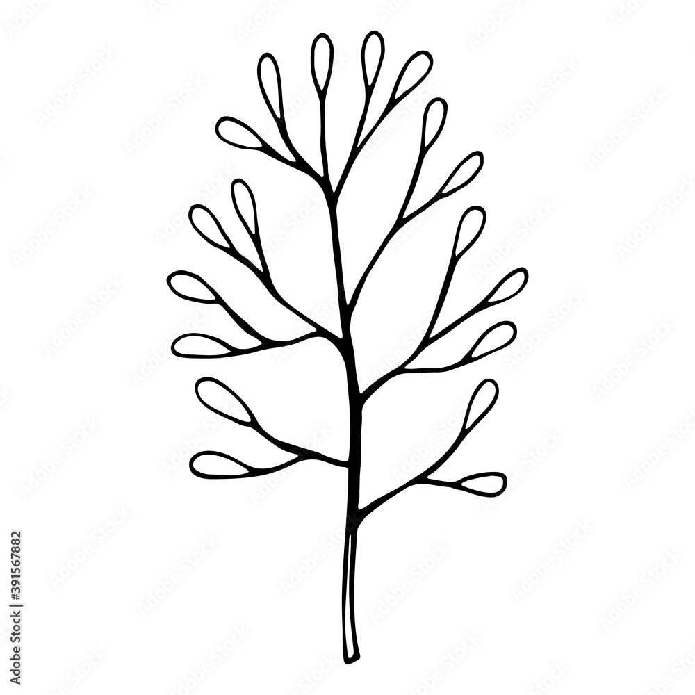 Vector contour drawing. Hand drawn trees doodle Stock Vector | Adobe Stock