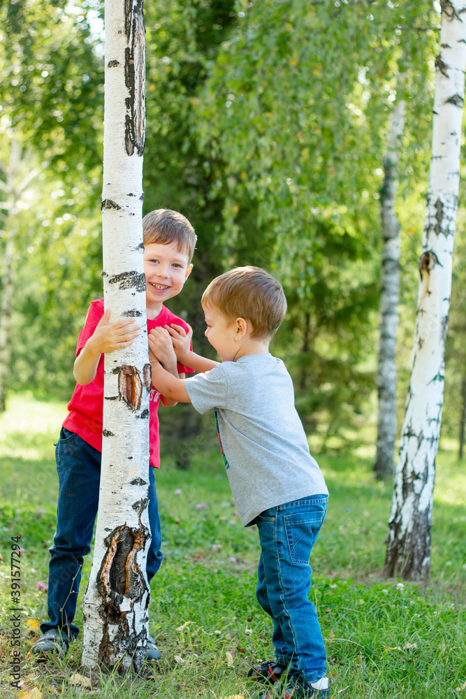 children jostle. 2 boys are pushing each other. Boyish games. Fraternal ...