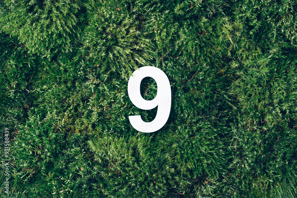 Ecology, zero waste. Green grass and digit nine 9. Birthday greeting ...