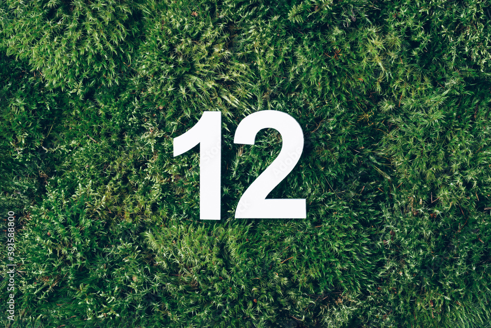 Ecology, zero waste. Green grass, digit twelve. Birthday greeting card ...