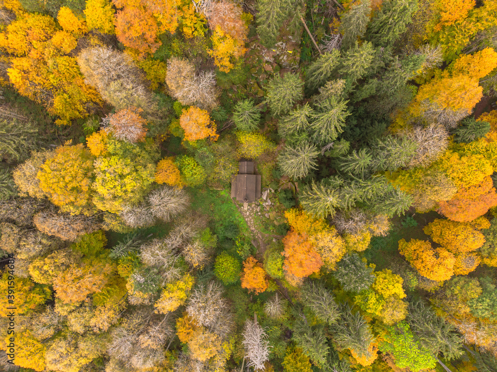 Fall forest landscape view from above. Colorful nature background ...