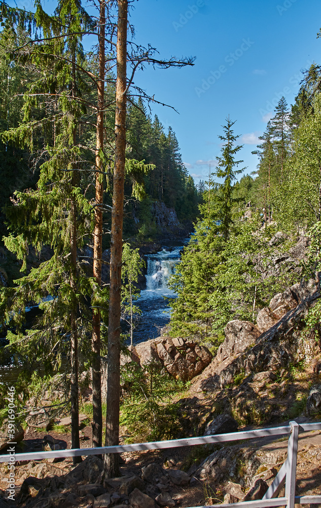 Plain waterfall Kivach.Long multistage flat waterfall. Seething waves ...
