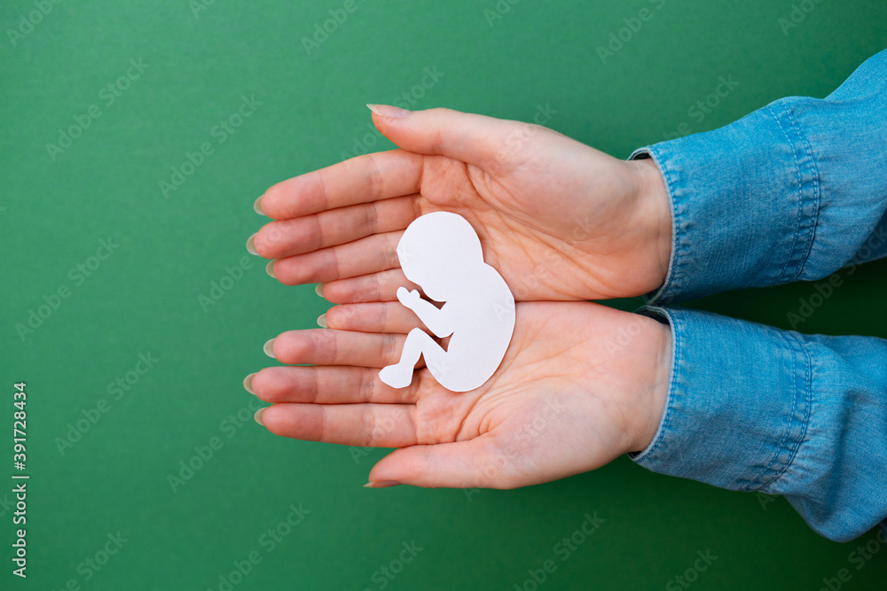 Female hands hold a paper-cut silhouette of a fetus. Green background ...