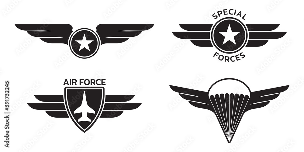 Military badge, army patch and insignia set with wings. Air and ...