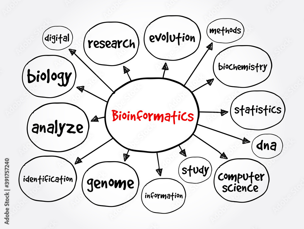 Fototapeta mapa świata dla dzieci Bioinformatics mind map, concept for ... Fototapeta mapa świata dla dzieci Bioinformatics mind map, concept for ...