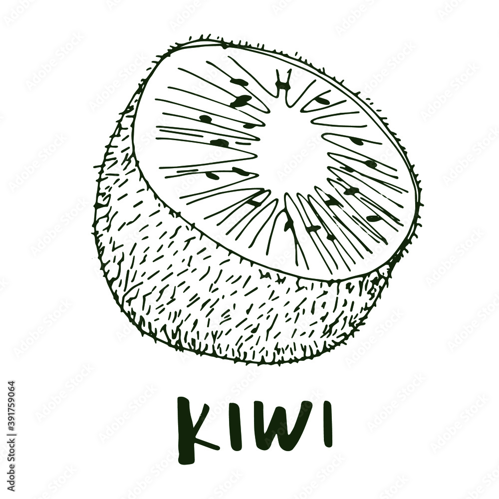 Kiwi ink drawing. Fruits. Grocery. Simple food illustration. Vector ...