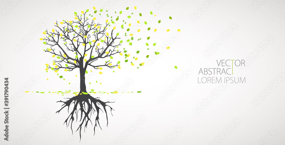 Abstract tree with roots. Vector outline illustration. Plant in Garden ...