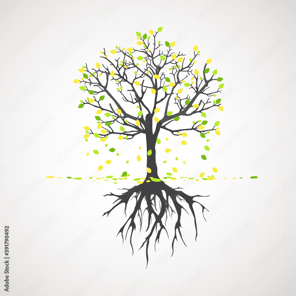Abstract tree with roots. Vector outline illustration. Plant in Garden ...