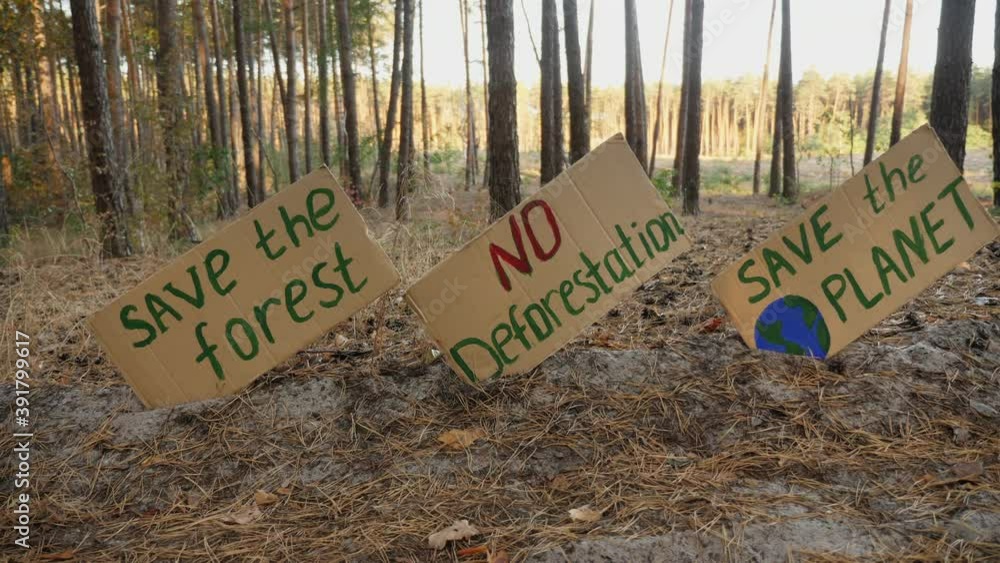 Cardboard posters with messages Save the Forest, No Deforestation and ...