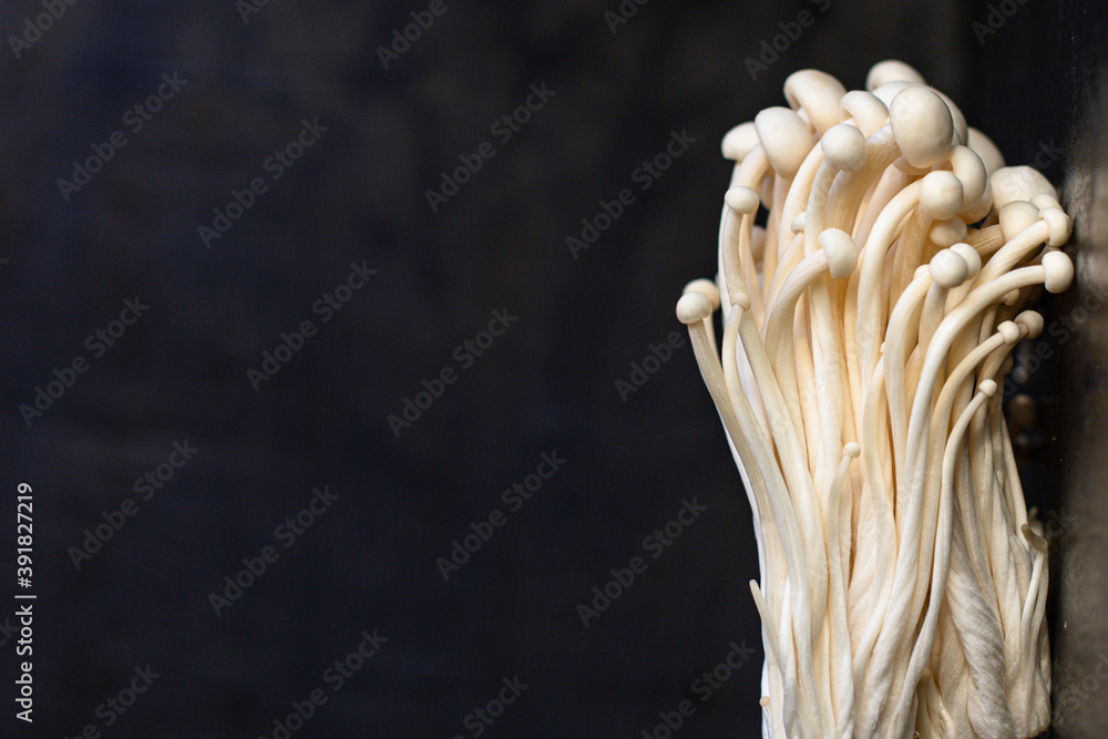 Enoki Enokitake mushrooms Flammulina velutipes edible Japanese Hot Pot ...