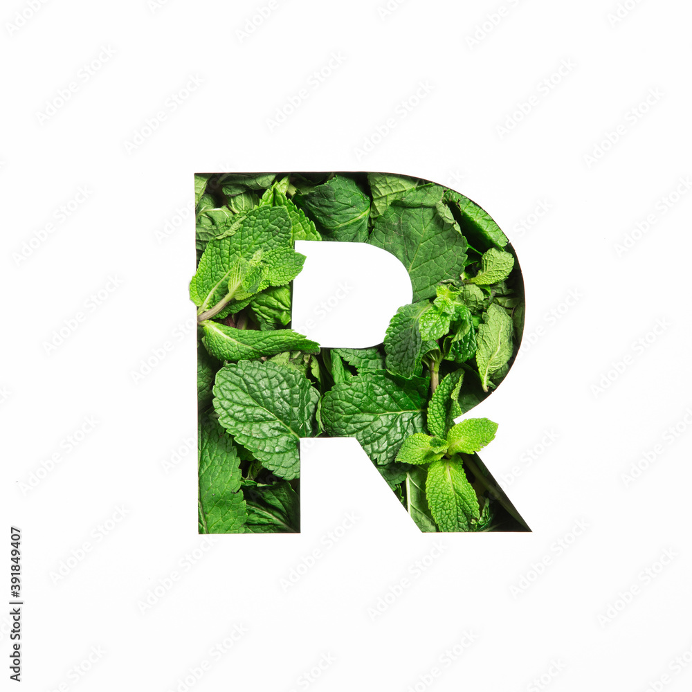 Letter R of English alphabet of green mint natural leafs and cut paper ...