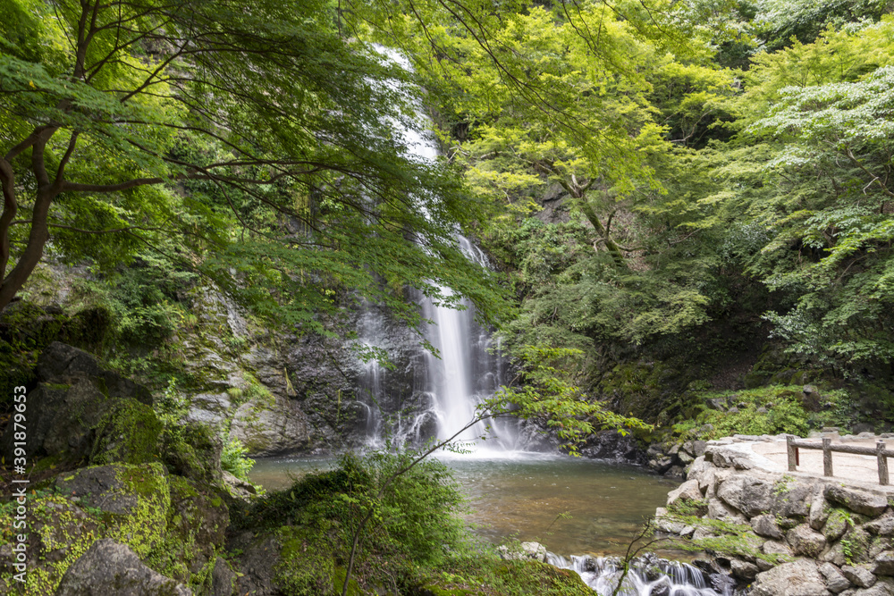 Minoh falls in Osaka, Japan in early summer Stock Photo | Adobe Stock