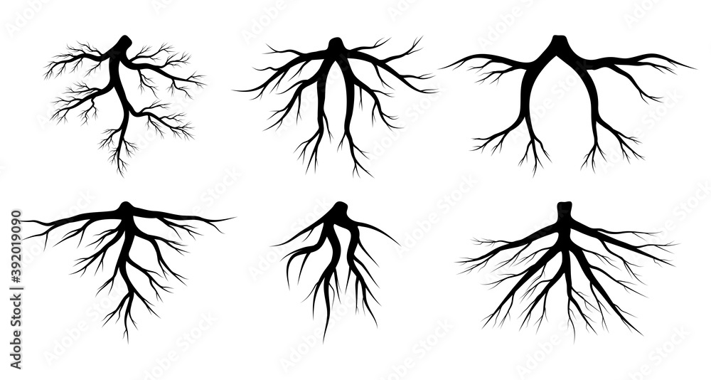 Root vector set isolated on white background. Tree roots system ...