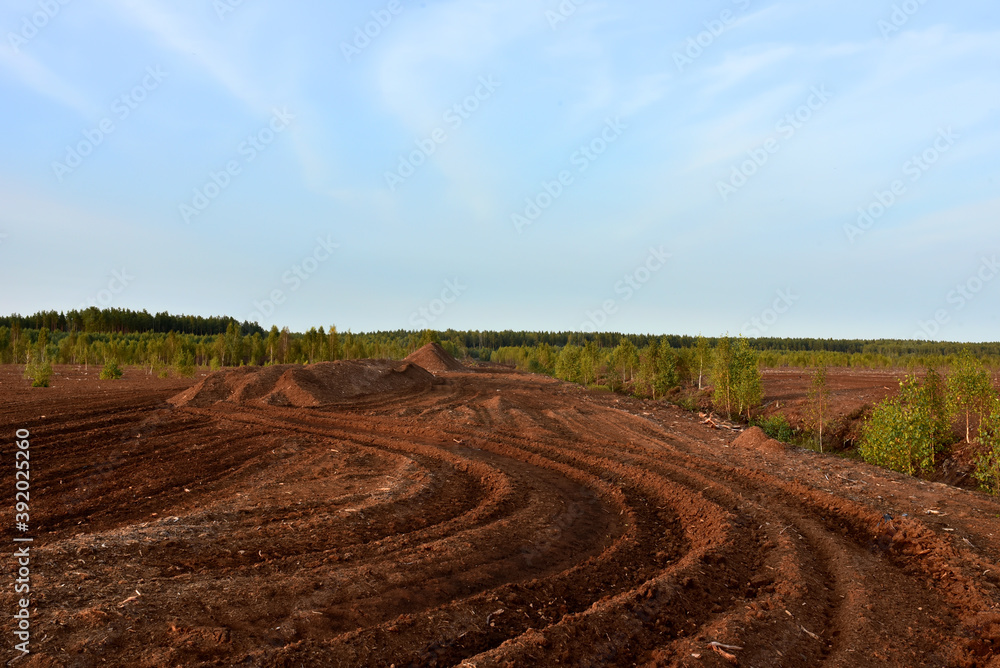 Landscape on peatlands where being development of the peat. Drainage of ...