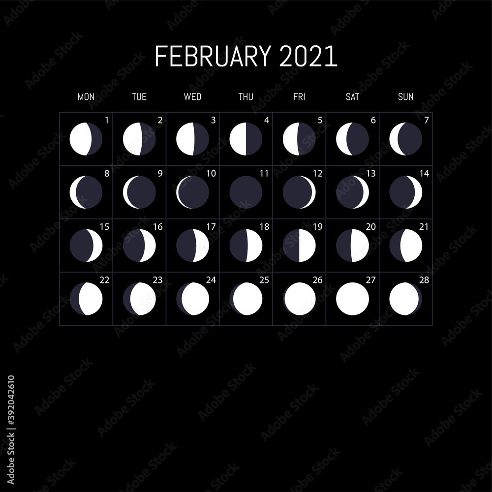 Moon phases calendar for 2021 year. February. Night background design ...