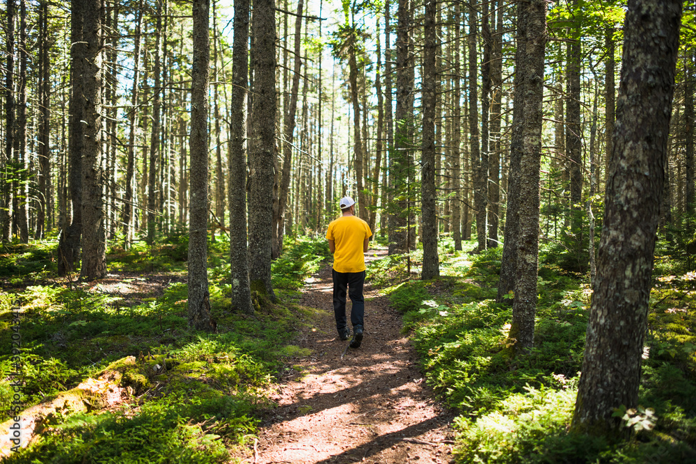 Solo man on a nature walk trail in coastal Maine Stock Photo | Adobe Stock