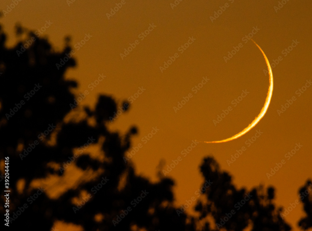Waxing crescent moon sets over trees in western forest fire color sky ...