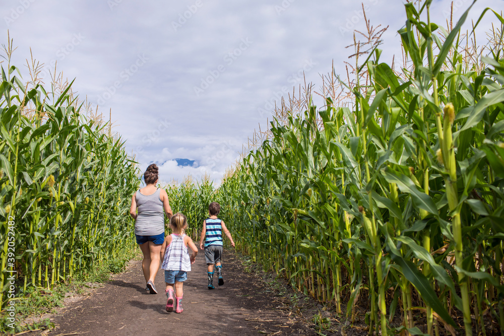 Mother walks through corn maze with her son and daughter Stock Photo ...