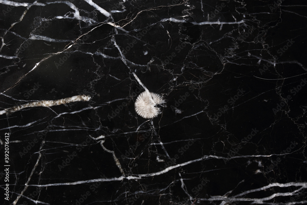 White pattern structure of black Marquina marble (high resolution ...