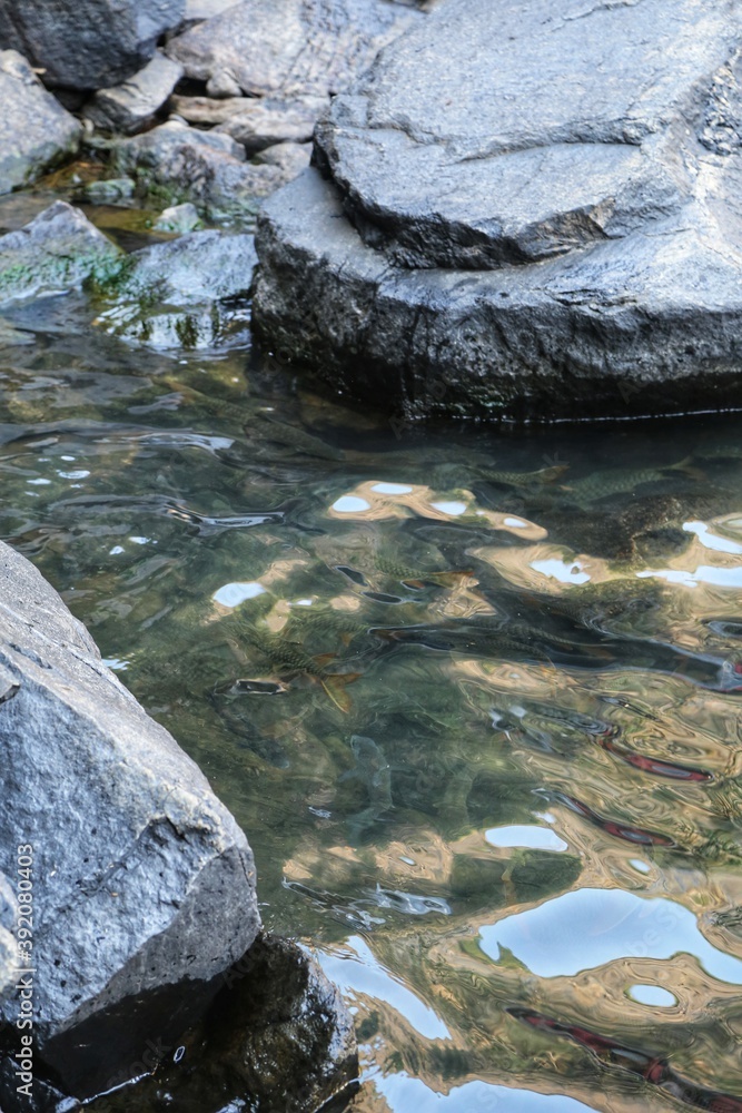 rocks and water Stock Photo | Adobe Stock