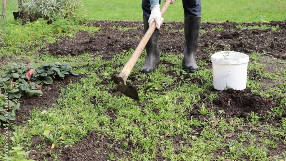 Due to Covid-19, the man decided to get rid of the weeds in his garden ...