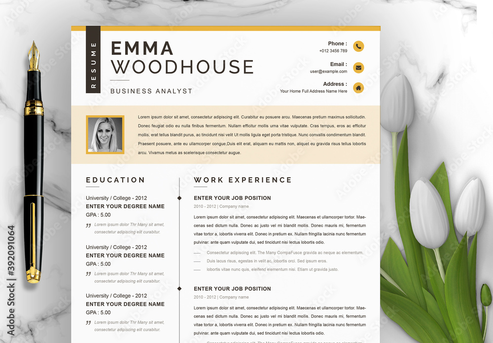 Professional Resume Layout Stock Template | Adobe Stock