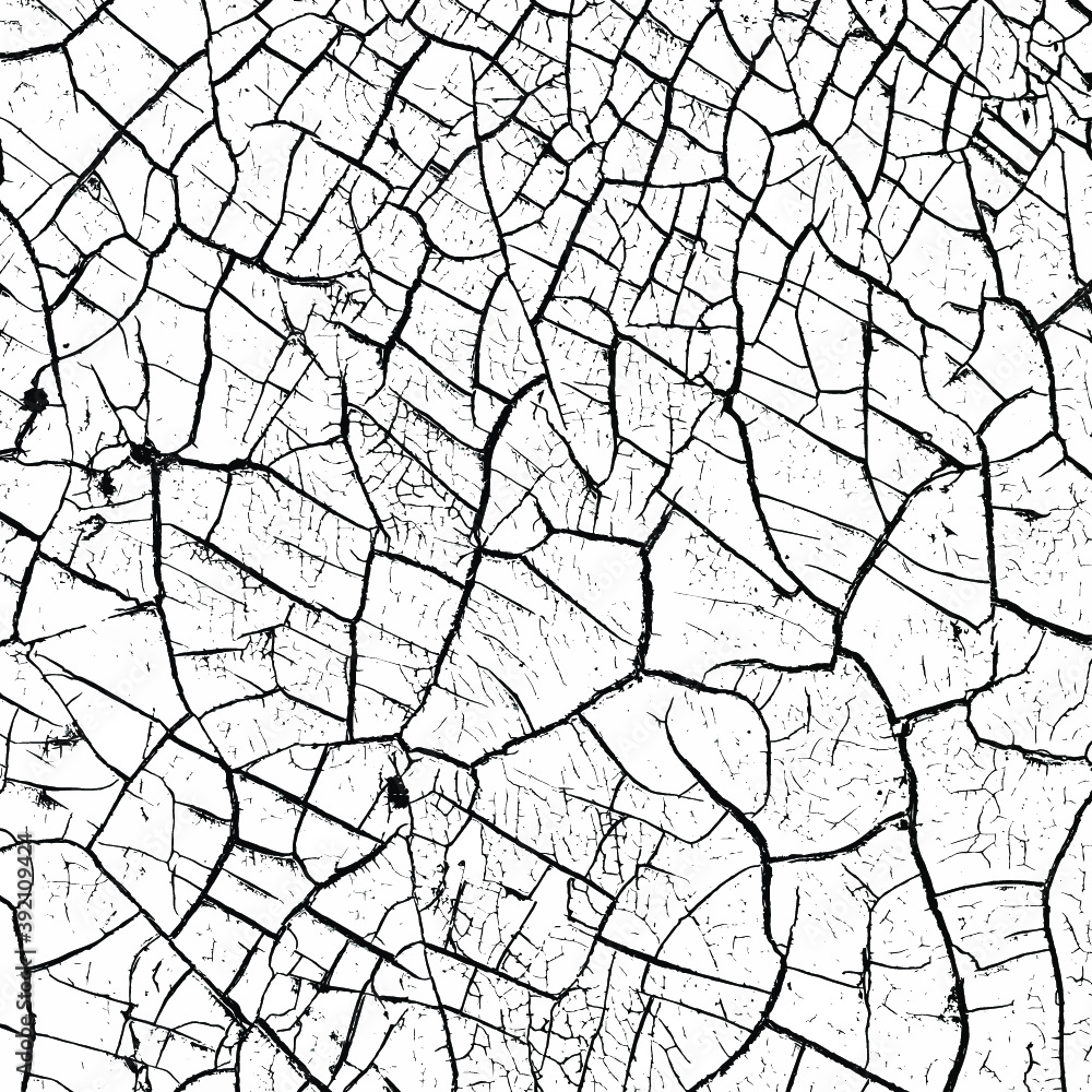 Crackle paint overlay. Vector black and white grunge pattern made from ...