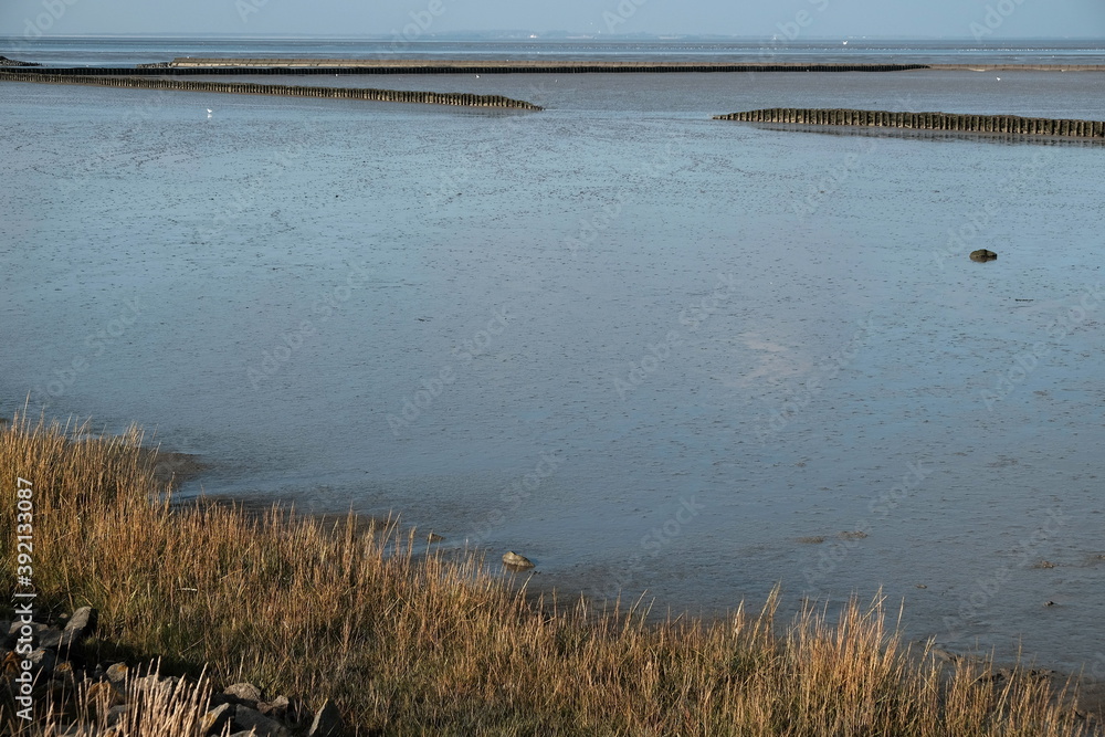 Das Watt mit Buschlahnungen und Schlickgras im Herbst bei Sonnenschein ...