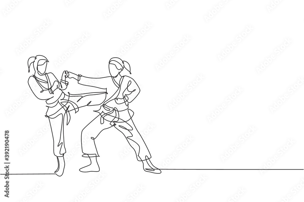 Single continuous line drawing of two young confident karateka girls in ...