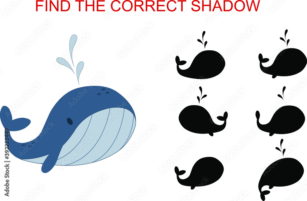 Educational game. Find the correct shadow. Blue whale illustration ...