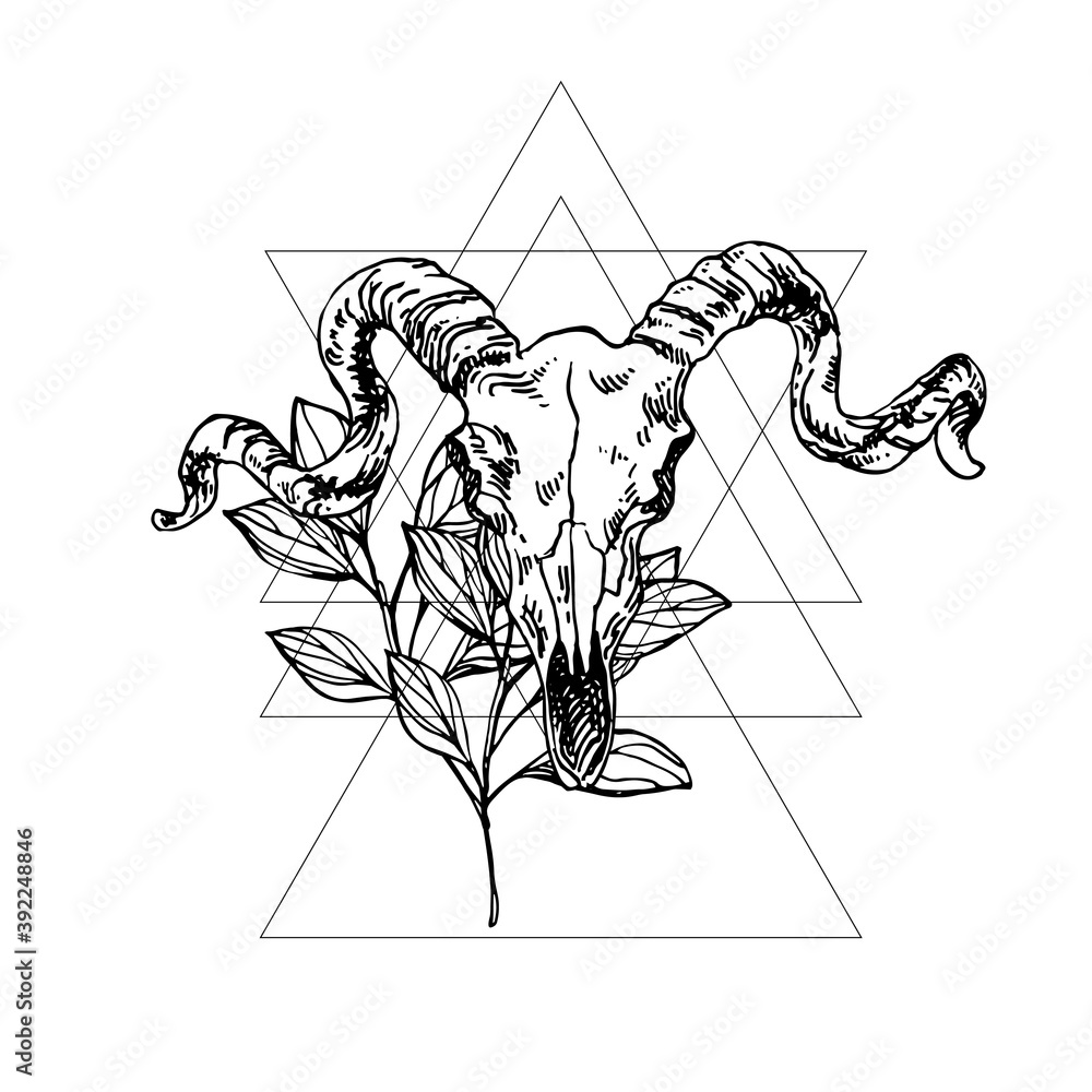Hand drawn vector illustration of goat skull. Magical outline clipart ...