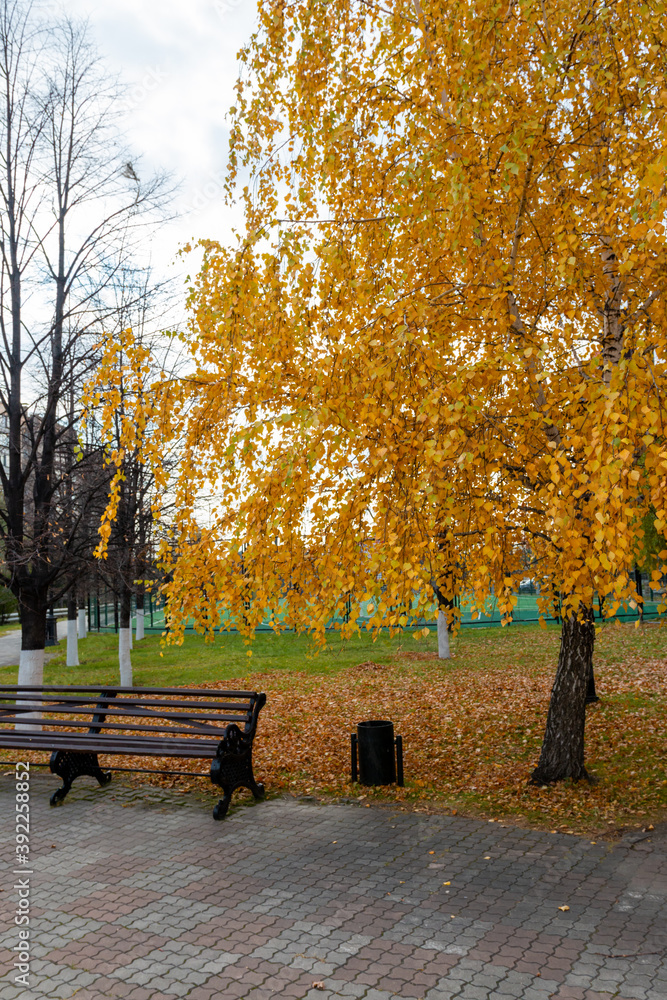 resting place in front of a multi-storey building Stock Photo | Adobe Stock