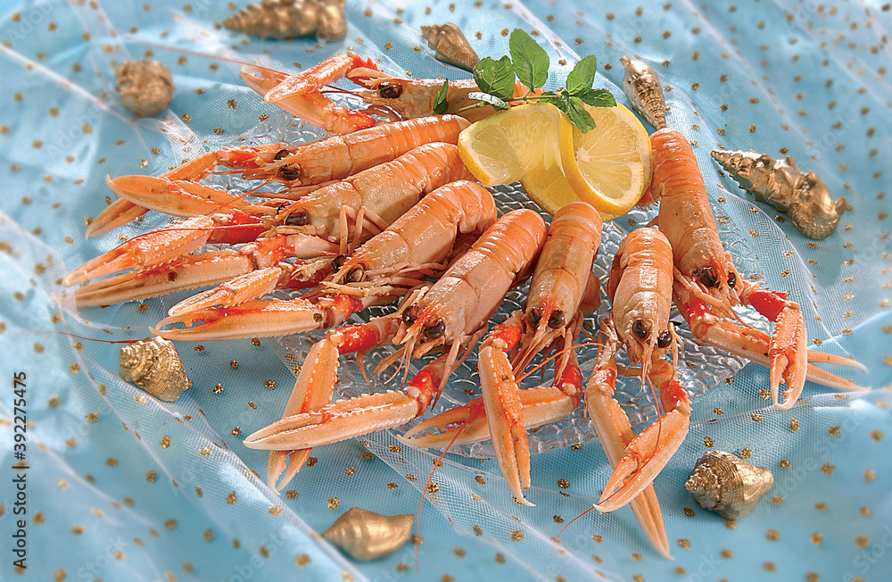 LANGOUSTINES Stock Photo | Adobe Stock