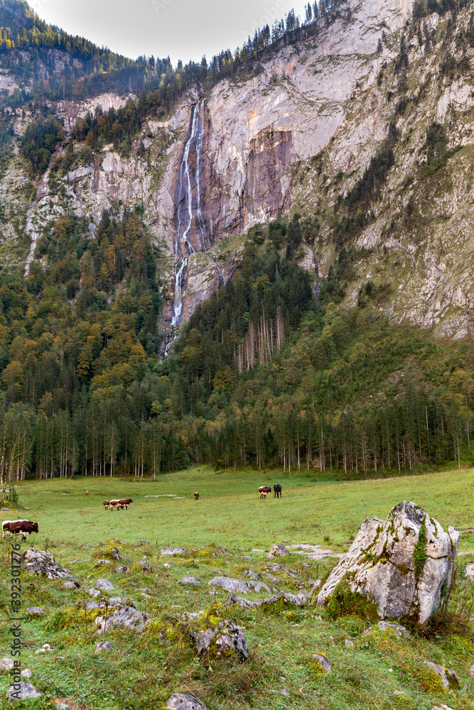The Roethbachfall, the highest waterfall of Germany near the Obersee in ...