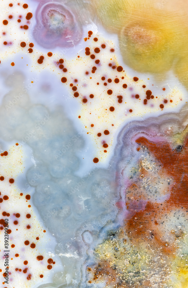 Macrophotograph Of The Detail Of An Rare Ocean Jasper Stock Photo ...