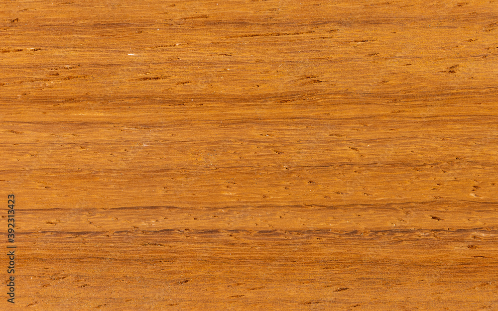 Wood Cross Section Texture Background Stock Photo | Adobe Stock