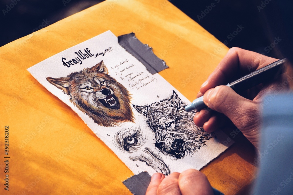 Wolf biological study Stock Photo | Adobe Stock