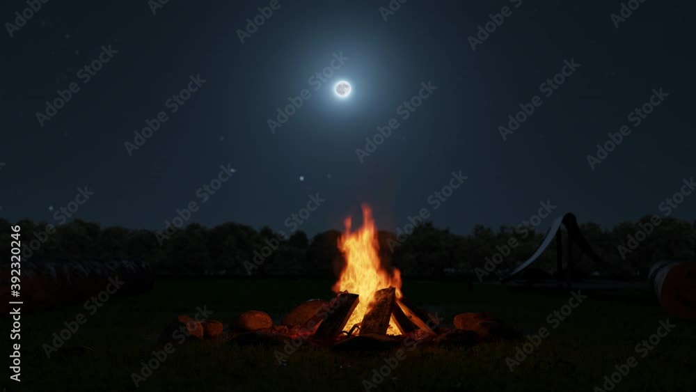 animation of big bonfire in front of forest and moonlight Stock Video ...