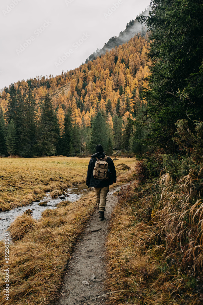 Back view of a man hiker with a backpack walking along a footpath ...