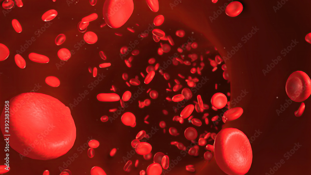 Red blood cells inside an artery, vein. Flow of blood inside a living ...