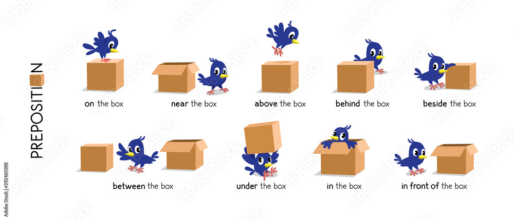 Preposition of place set. Bird and the box Stock Vector | Adobe Stock Preposition of place set. Bird and the box Stock Vector | Adobe Stock
