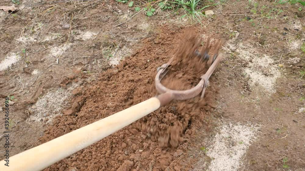 Processing of agricultural land with hand tools. Cultivator tool ...