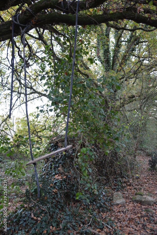 Saint-Herblain - Parc de la Chézine - Trouvaille insolite une ...