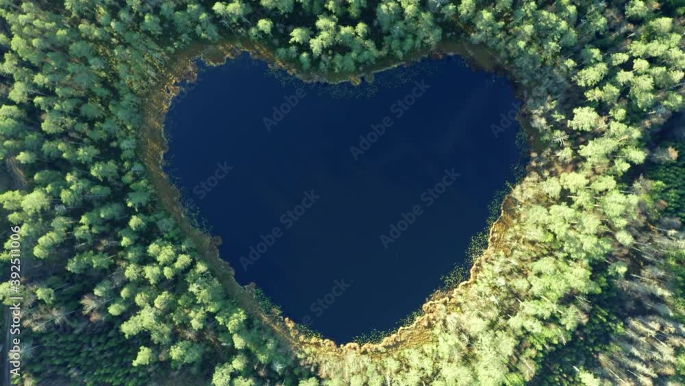 Vidéo Stock Lake in heart shape. Natural wonder from above. Love nature ...