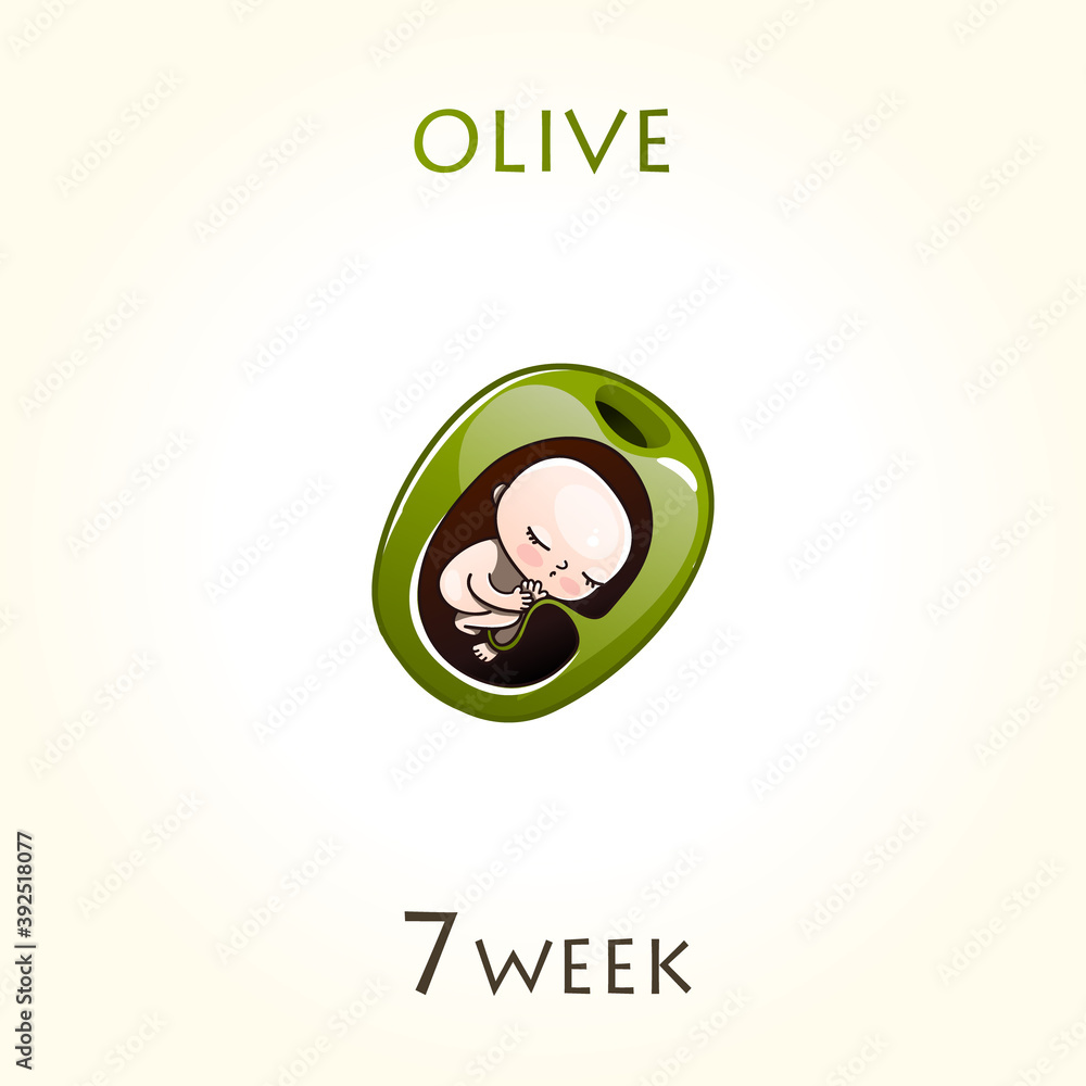 Obraz Stages Of Development Of Pregnancy The Size Of The Embryo For obraz-stages-of-development-of-pregnancy-the-size-of-the-embryo-for