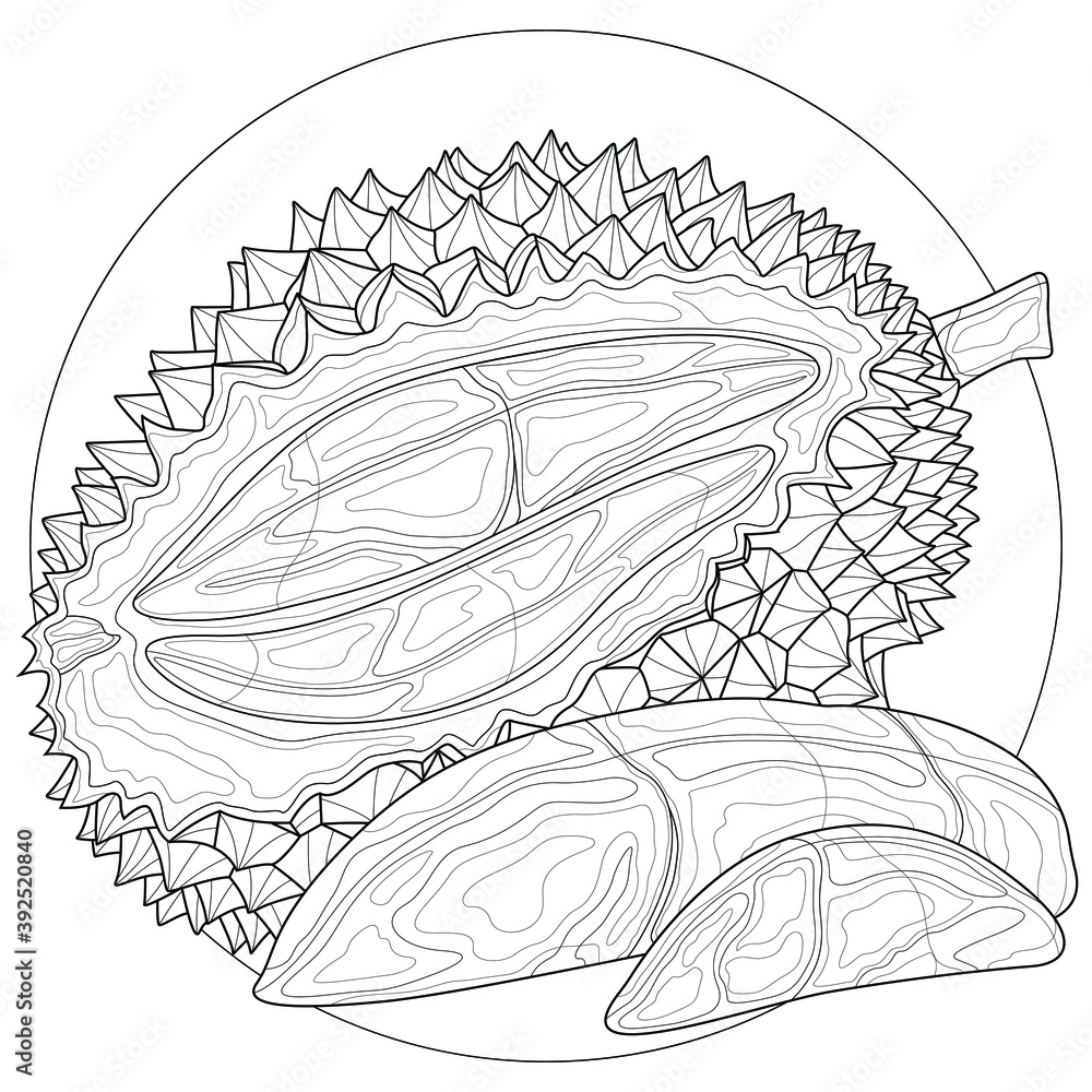 Durian fruit.Coloring book antistress for children and adults ...