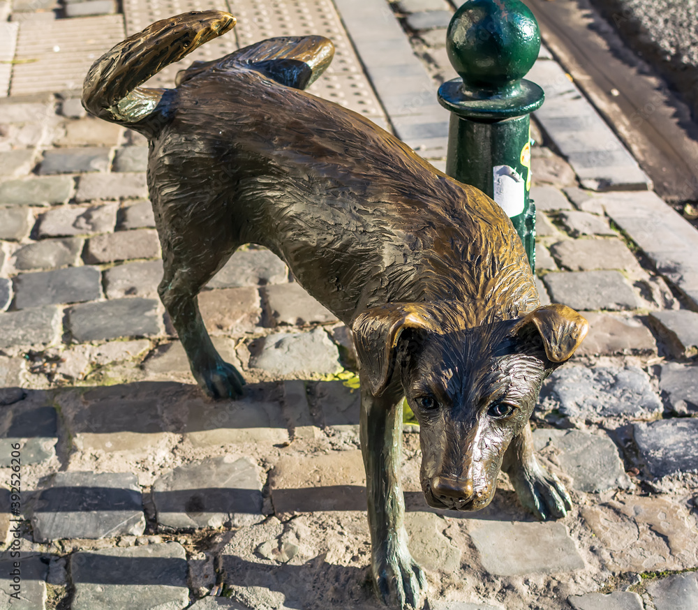 Het Zinneke, sometimes wrongly called Zinneke Pis - a bronze statue of ...