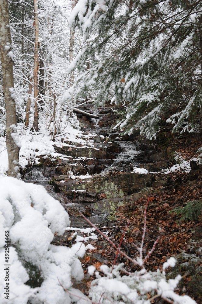 Forest Stream flow Scenery winter stock photos. Winter stream flow with ...